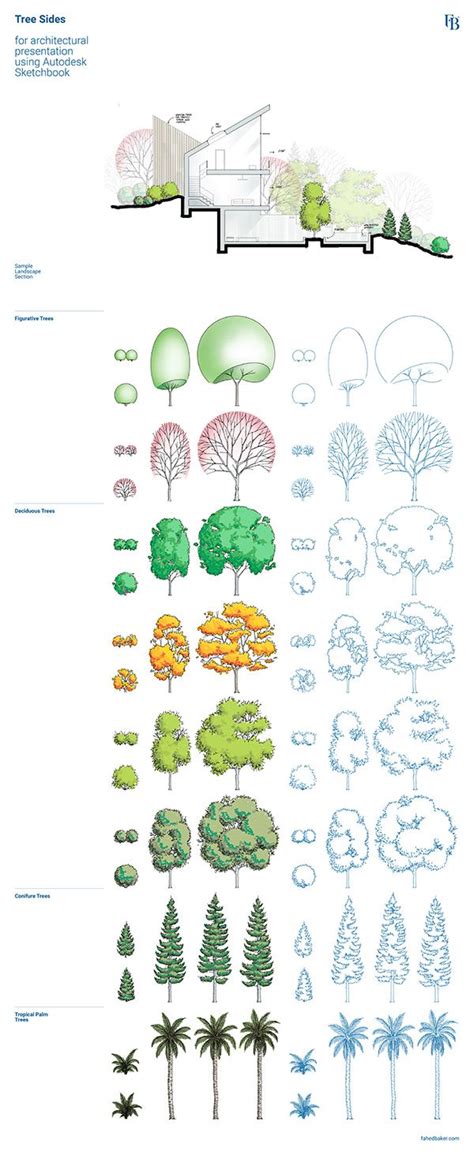 An Illustrated Diagram Shows The Various Types Of Trees And Shrubs