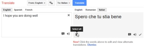 Usage Examples In Google Translate