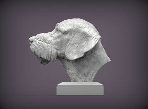 Stl File German Wirehaired Pointers Bust 3d Print Model・3d Printing