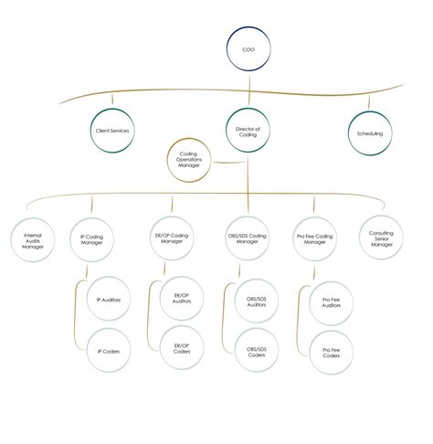 Hccs Healthcare Coding And Consulting Services