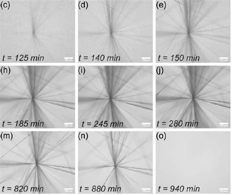 Imdea Nanociencia Real Time Control Over A Chemical Reaction Network By Light