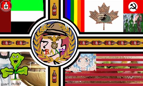 Anti Centrist Flag I Found Rjreg