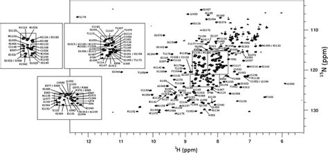 1h 15n Hsqc Spectrum Of Human Nsd2 Catalytic Domain The Spectrum Was Download Scientific