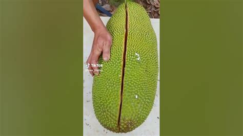 පැනි වරකා කැල්ලක් කමුද 😋 Youtube