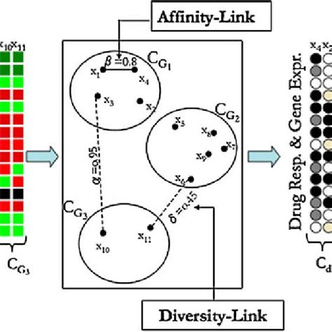 the computational process of the proposed relational clustering