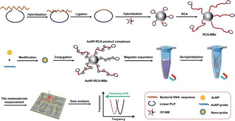Schematic Of The Fabrication And Operating Principle Of The Proposed Download Scientific