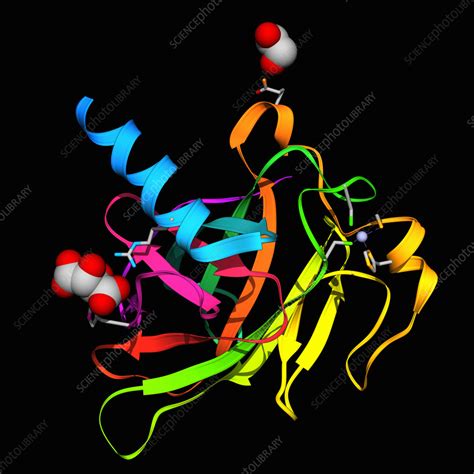 P53 Cancer Mutant Y236c Illustration Stock Image C0600865