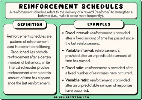 Types Of Reinforcement Schedules Examples At Ava Ewers Blog