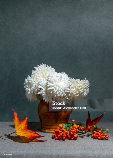 어두운 배경에 꽃과 열매와 노란 잎이 있는 정물화 꽃병에 담긴 흰 달리아 오렌지 열매 노란 잎 텍스트 배치 0명에 대한 스톡 사진 및 기타 이미지 Istock