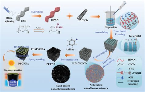 Fabrication Process Of Janus Ppcpna Download Scientific Diagram