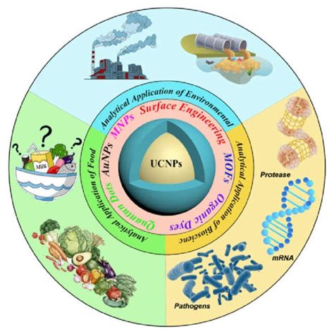 Schematic Illustration Of The Fluorescent Characteristics And Sensing Download Scientific
