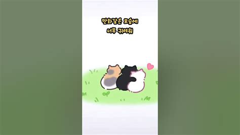 애니같은 귀여운 영상 고양이입양 라이프캣 Youtube