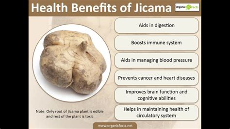 Best 13 Is Inulin A Type Of Sugar Knowledge Artofit