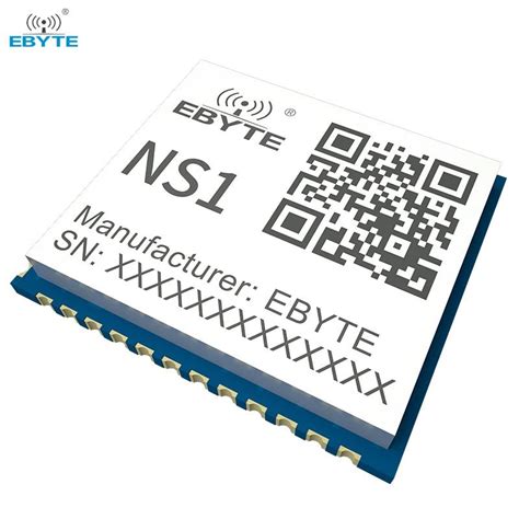 Ebyte Ns1 In House Factory Production Rj45 And Ttl Data Transmission