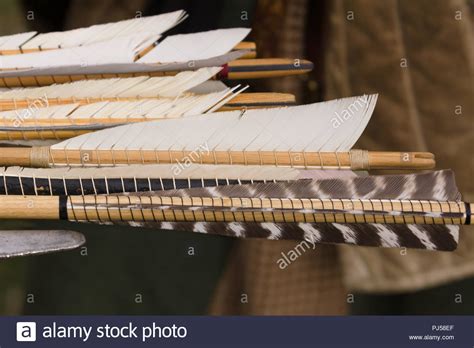 Fletching Arrows With Feathers At Edward Padgett Blog