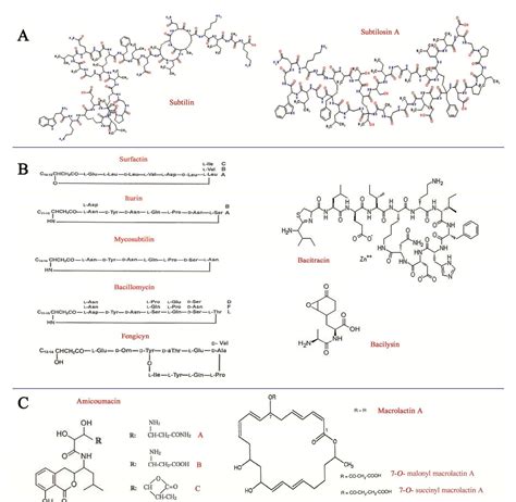 Figure 1 From Antimicrobial Compounds Produced By Bacillus
