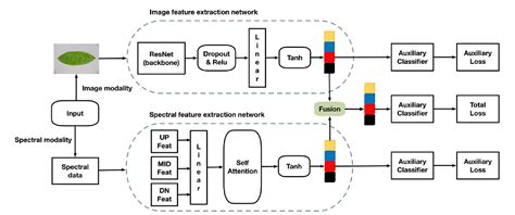 Figure 5 From Citrus Huanglongbing Detection Based On Multi Modal Feature Fusion Learning