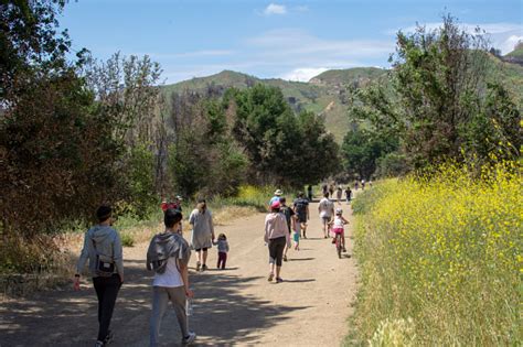 봄 2019의 말리 부 크릭 주립 공원에서 관광객과 등산객 2018의 울 시 화재는 지역에 광범위 하 게 파괴를 야기 하 고 많은 나무를 태워 아직 많은 남아 있고 지역