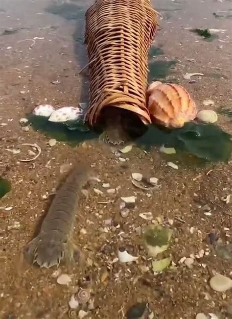 알아서 집으로 Youtube