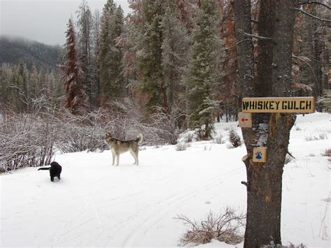 Cross Country Skiing At Homestake Lodge Travelingmel