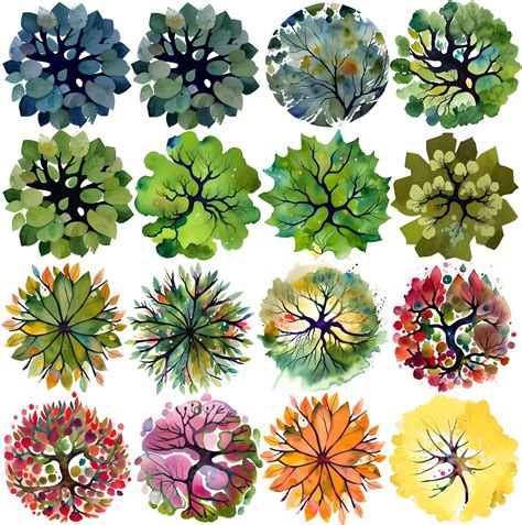 Landscape Design Texture Pack Tree Plan View Landscape Design Grass Texture PNG Shrubs