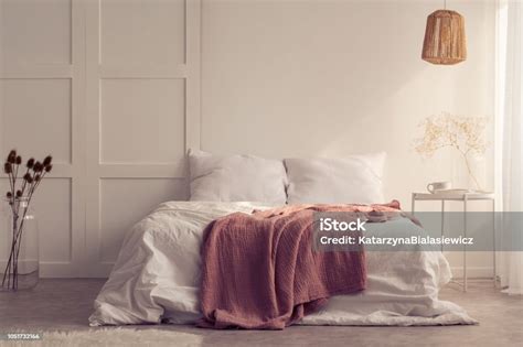 식물을 테이블 위에 램프와 최소한의 침실 인테리어에 흰색 침대에 핑크 담요 실제 사진 침구에 대한 스톡 사진 및 기타 이미지