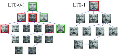 Two Example Subtrees Of Orl Face Data By Which The Effectiveness Of