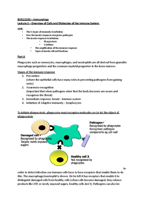 Lecture 2 Overview Of Cells And Molecules Of The Immune System BIOL21242 Immunology