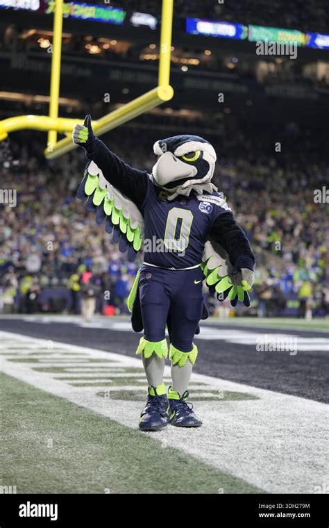 Seattle Seahawks Mascot Blitz Gives A Thumbs Up To The Crowd In An Nfl