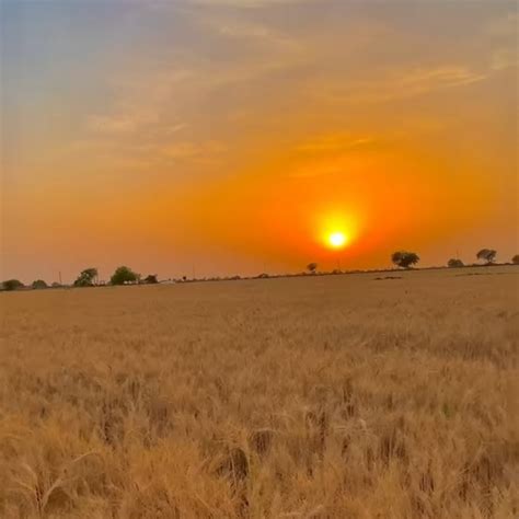 Farmerliferj14 Youtube