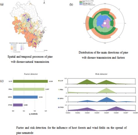 Host Vegetation Connectivity Is Decisive For The Natural Spread Of Pine Wilt Disease Huang
