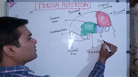 Pterion Asterion Full Video Youtube