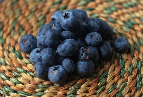 Mora Fruit Fruits Free Photo On Pixabay