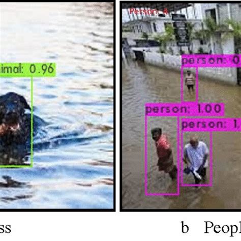 Single Class Object Detection And Counting Download Scientific Diagram