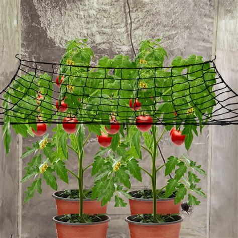 4x4ft Trellis Net For Grow Tent Easy To Install Scrog Desertcart
