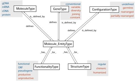 The Molecule EntityType Concept With Its Relations The Download Scientific Diagram