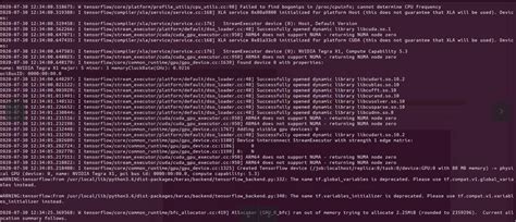 Resource Exhausted Oom When Allocating Tensor With Shape 256 Jetson
