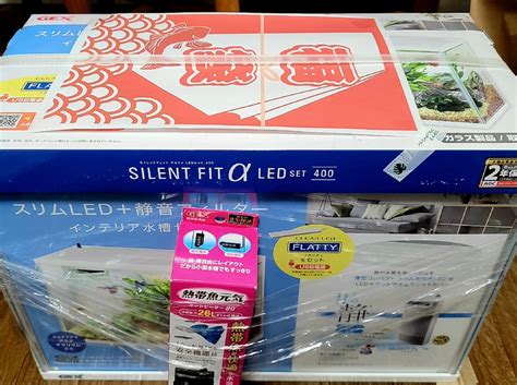 カインズ福袋 2026 の中身をネタバレします！お得なアイテムが盛りだくさんです💕