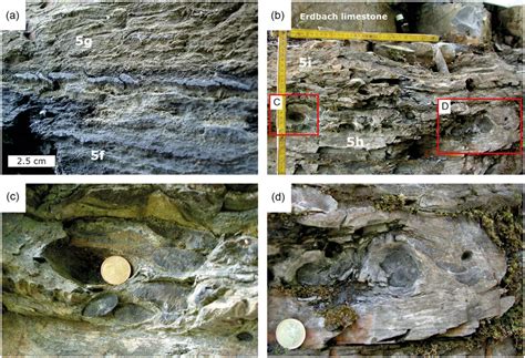 Colour Online Outcrop Photographs Of The Lower Alum Black Shale At