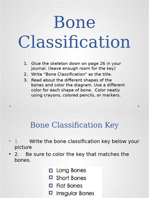 Bone Classification Ppt Pdf