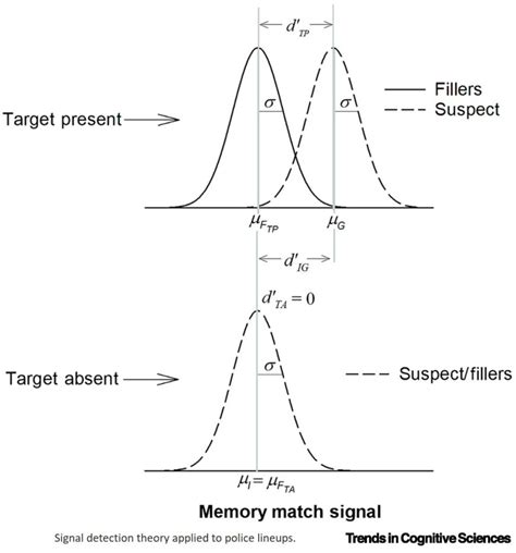 The Cognitive Science Of Eyewitness Memory Sciencemission