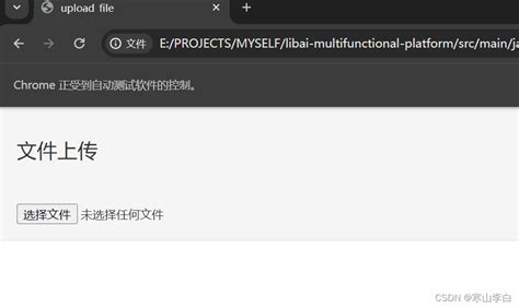 Selenium模拟浏览器自动上传文件的操作实现java Selenium 上传文件 Csdn博客