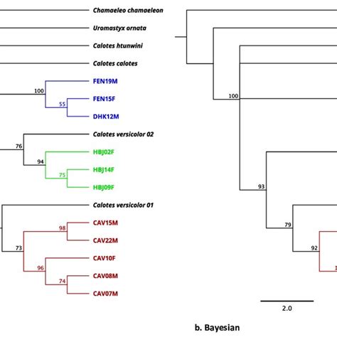 Pairwise Fst Values Between The Clusters Download Scientific Diagram