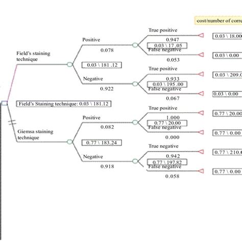 Decision Tree For Cost Effectiveness Analysis Download Scientific