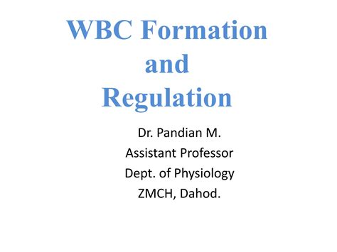 WBC Formation And Regulation Pptx