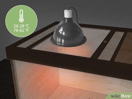 Ways To Care For A Milk Snake Wikihow Pet