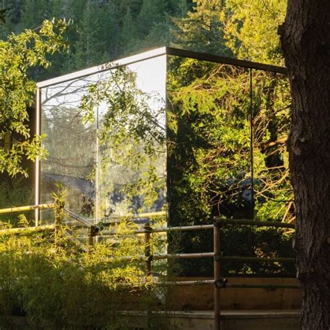 Treehouse Is A Sloping Block Of Co Living Apartments With A Tree Filled Atrium