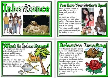 Inheritance Inheritance Ks