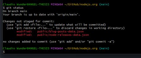 Unable To Run Node Js Website Locally On Windows With Node Js And Npm Issue
