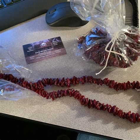 Antique Nabisco Cracker Can Etsy